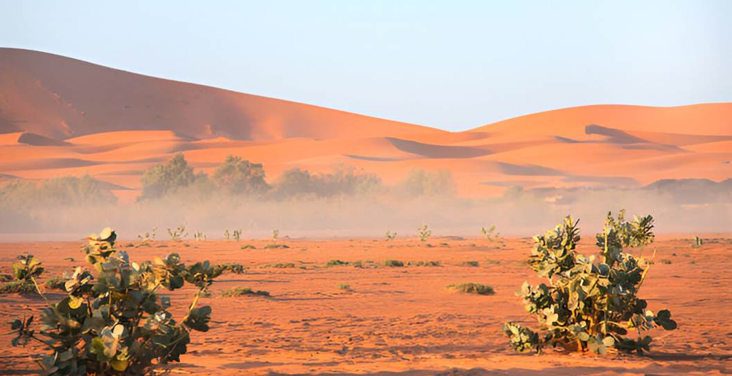 Explore Adventures Morocco - Authentic Moroccan Tours